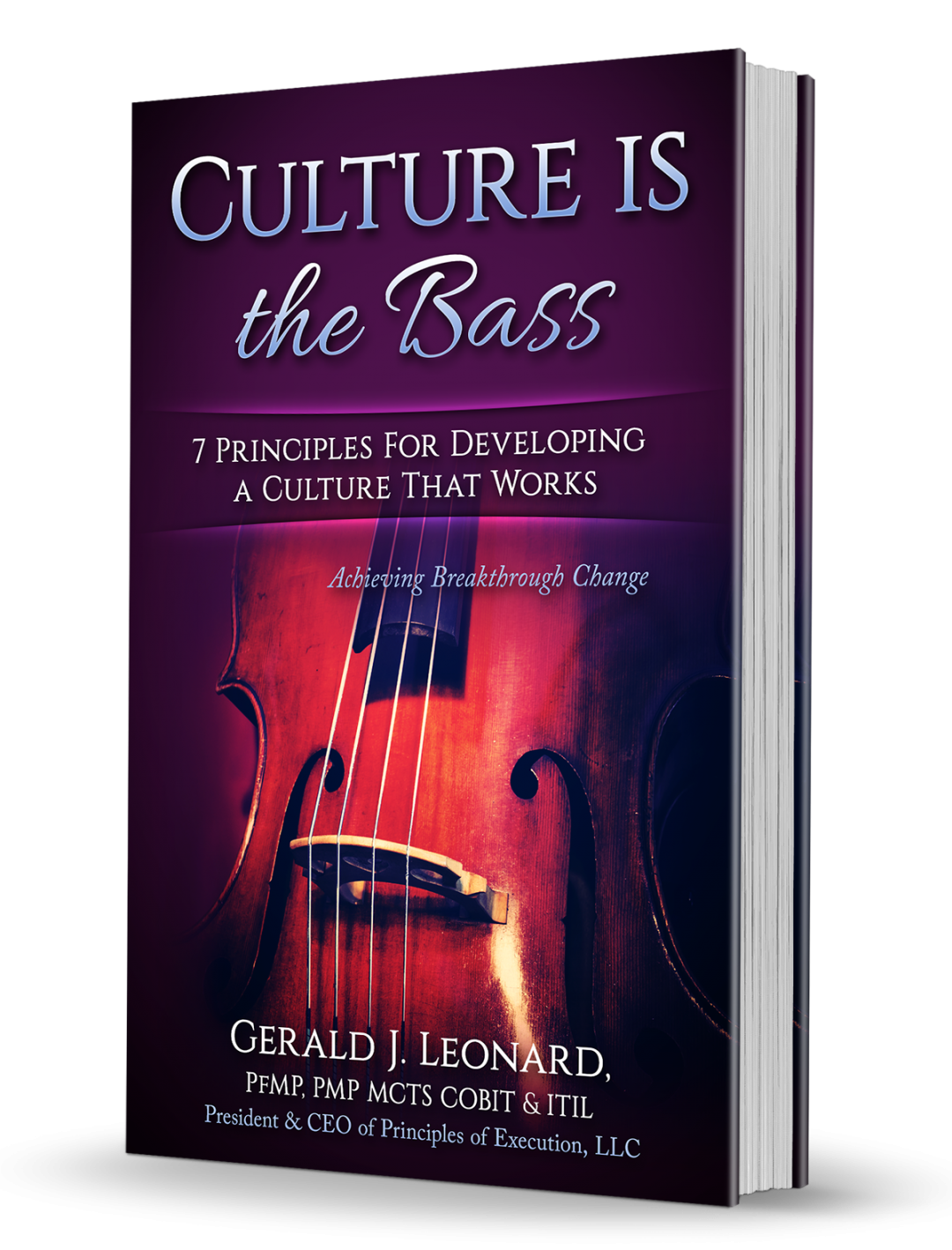 Episode 17 - "Developing a Company Culture That Works" with Gerald Leonard